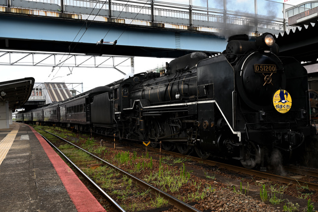 SLやまぐちD51200 by MacoMaco （ID：12567646） - 写真共有サイト:PHOTOHITO