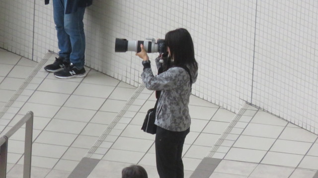 UMAJO 5 by rockde55 （ID：8116514） - 写真共有サイト:PHOTOHITO